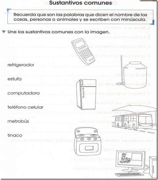 Proyectos escolares: Sustantivos comunes – ejercicios y tareas de primaria